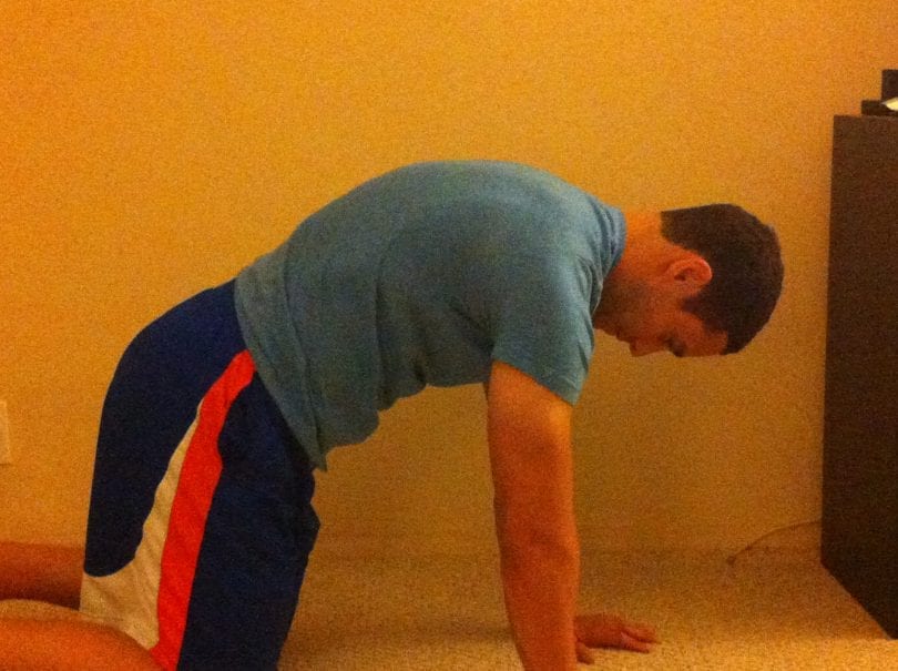 Thoracic Mobility and the Cat-Camel Exercise | Juggernaut Training Systems