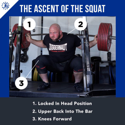 4 Steps to A Better Squat | Juggernaut Training Systems